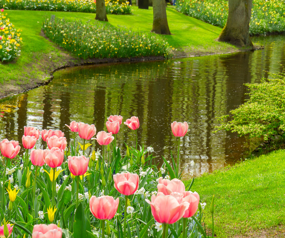 Enjoy Spring Weather - Even from Work